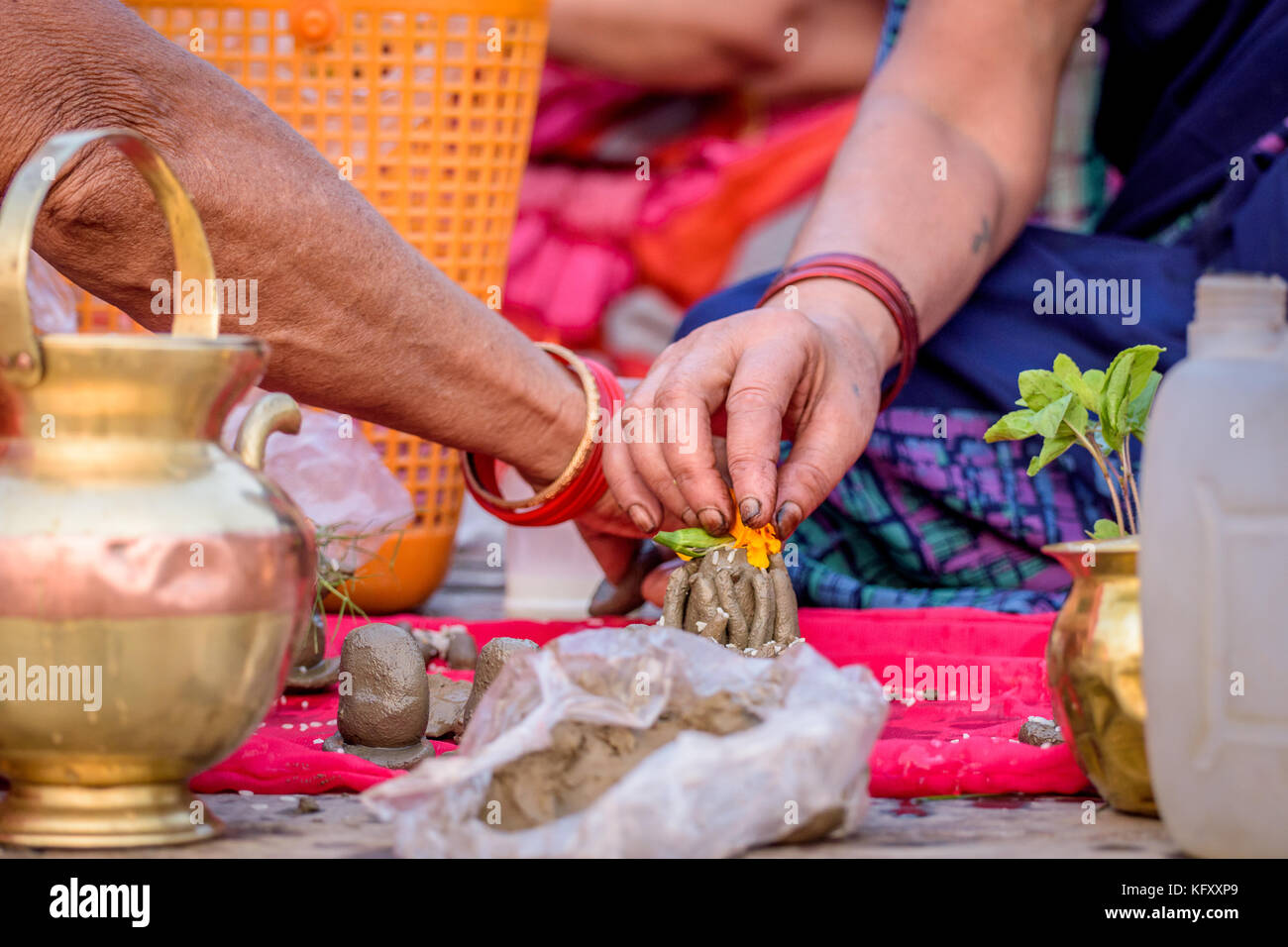 Tulsi Stock Photos & Tulsi Stock Images - Alamy