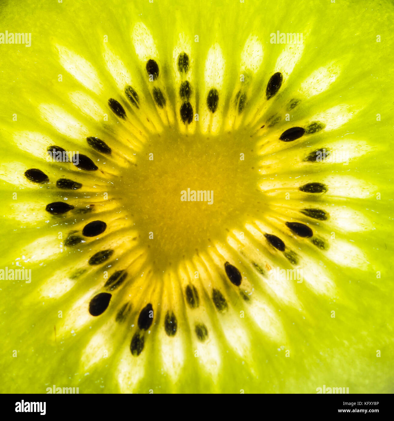 A macro shot of the pattern inside a kiwi fruit Stock Photo - Alamy