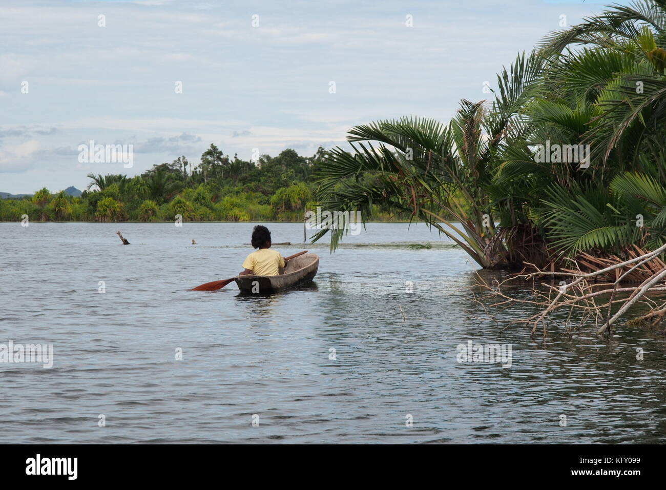 Papuan woman canoeing on lake Sentani, Papua, Indonesia Stock Photo - Alamy