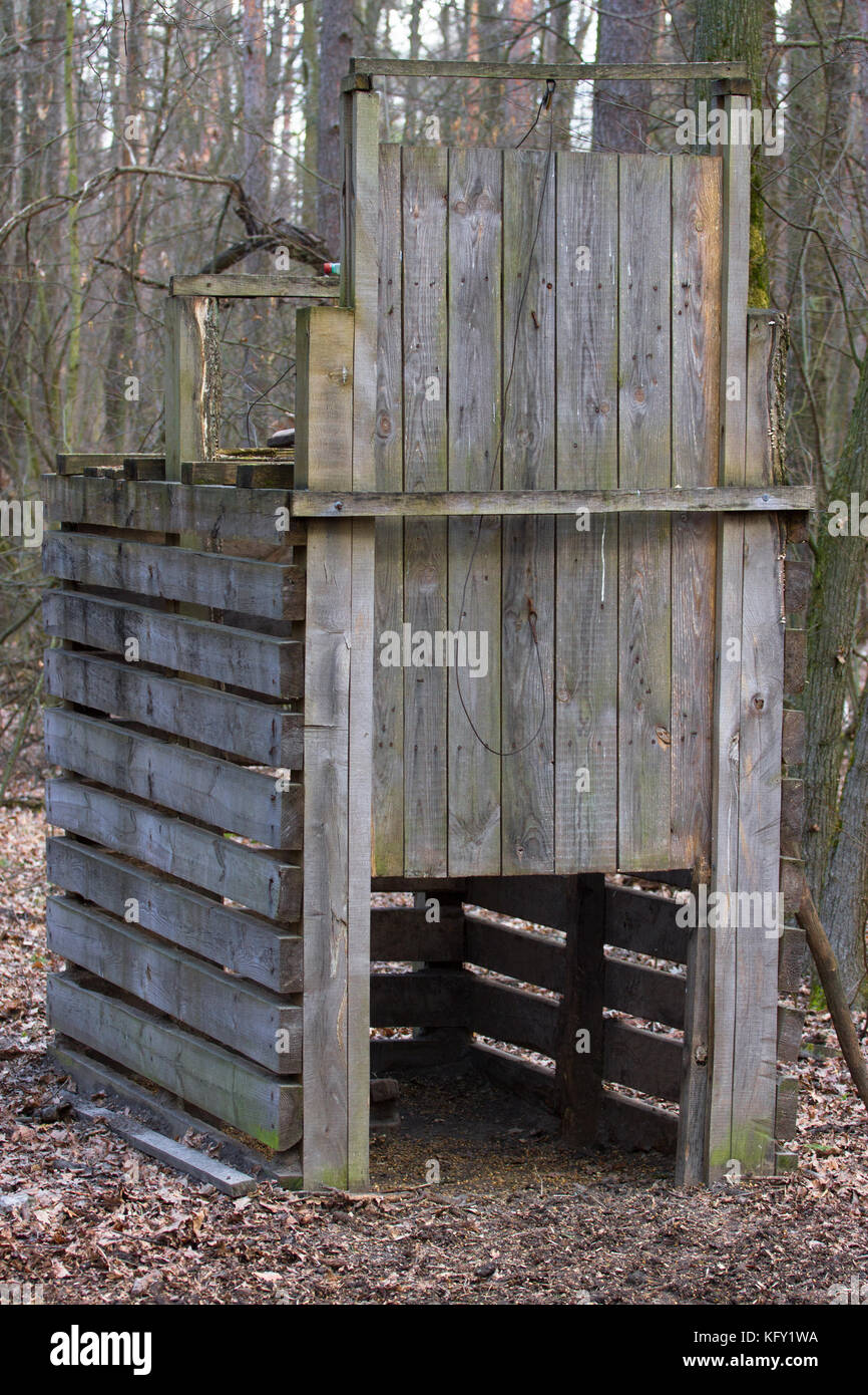 Pig catching hi-res stock photography and images - Alamy