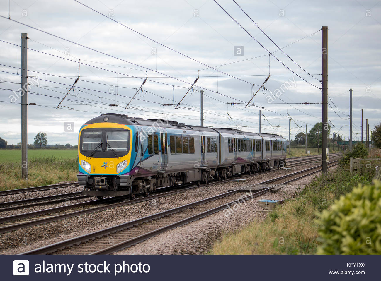 Tpe High Resolution Stock Photography and Images - Alamy