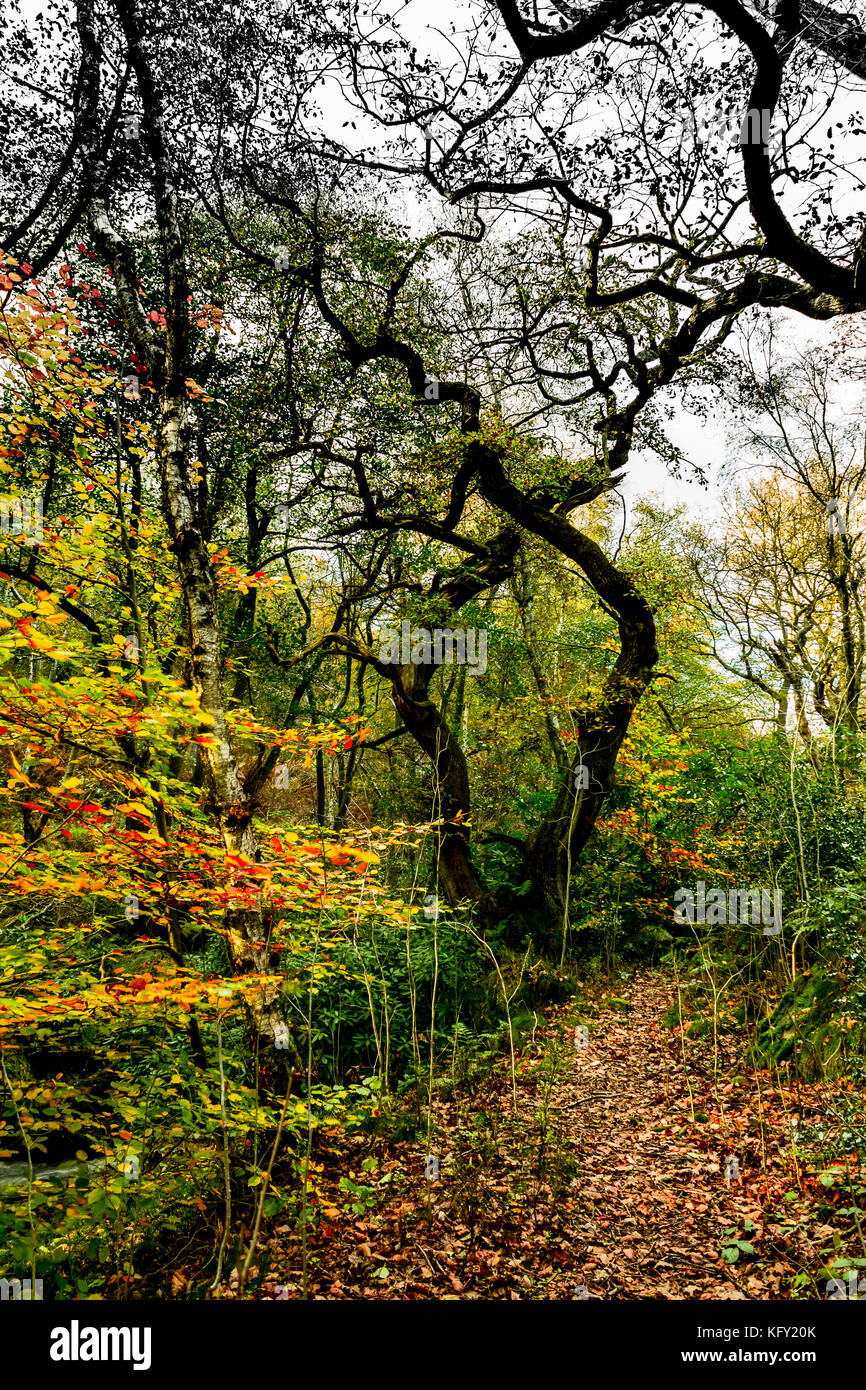 Agden High Resolution Stock Photography and Images - Alamy