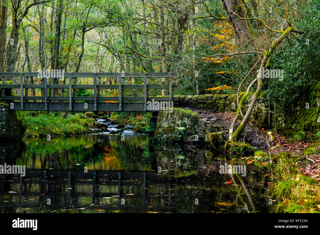 Bog bridge hi-res stock photography and images - Alamy