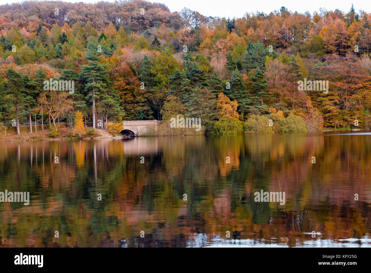View of trees reflecting in the water of Agden reservoir on a lovely ...