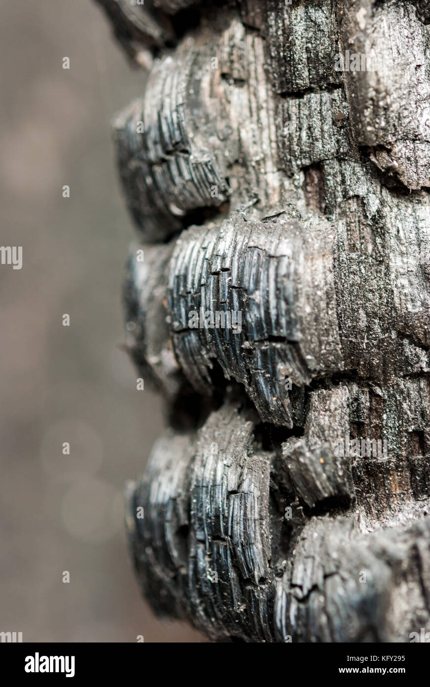 Burned objects hi-res stock photography and images - Alamy