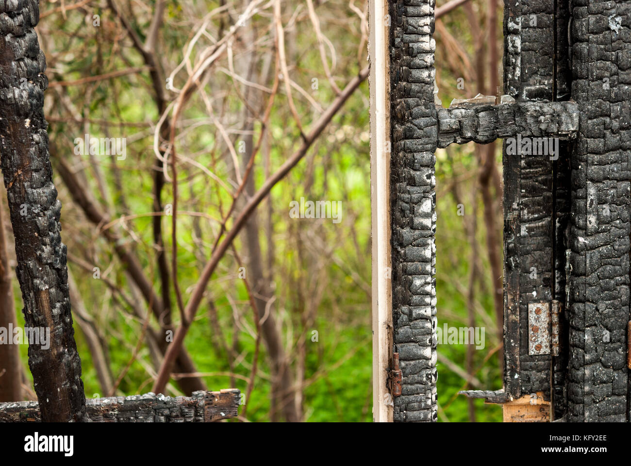 Window in burned house with green forest background Stock Photo - Alamy