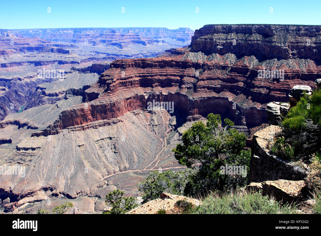 Grand Canyon National Park tour bus stop Arizona USA Stock Photo - Alamy