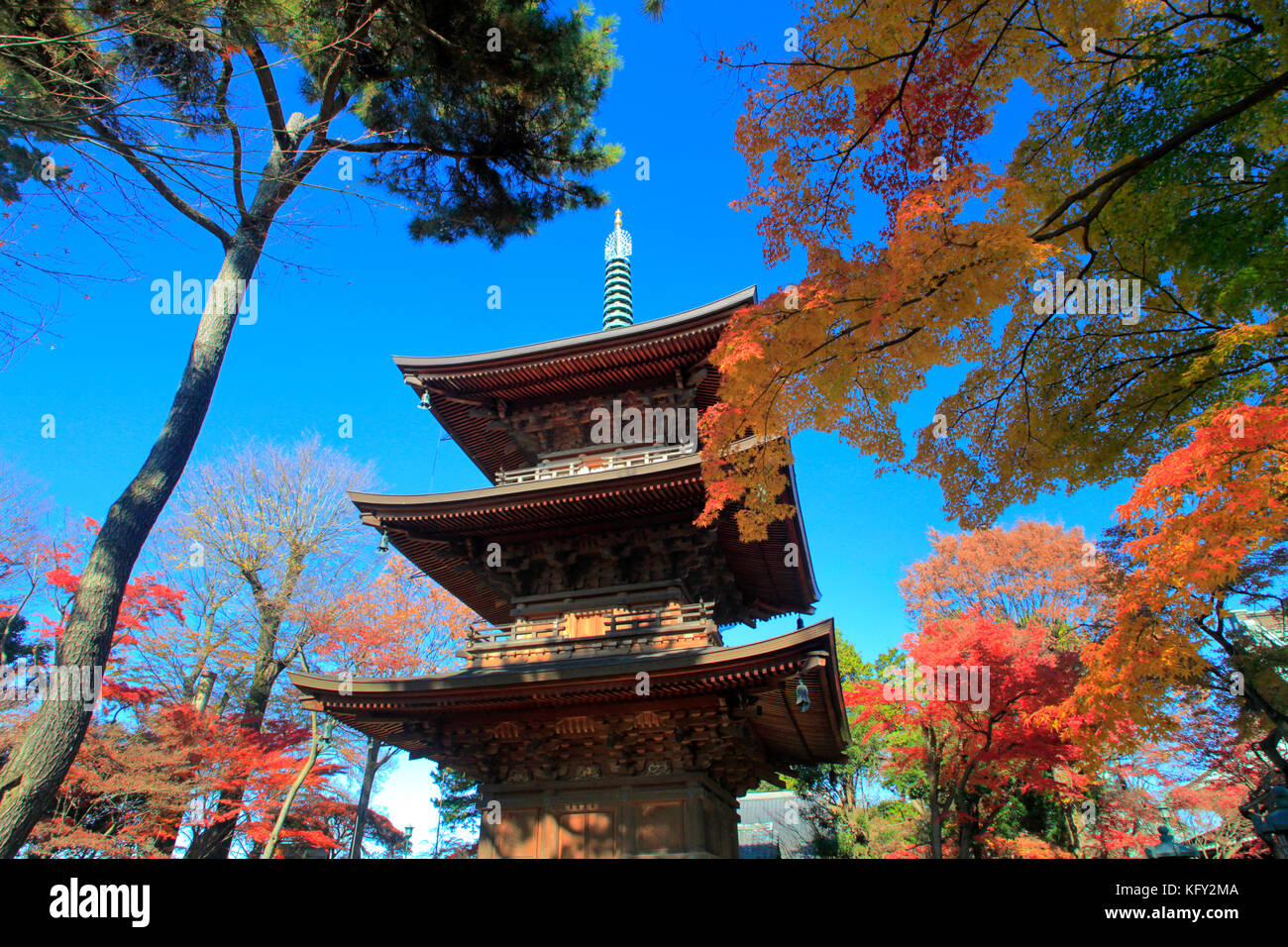 Three Storied Pagoda of Gotokuji Temple in Autumn Color in Tokyo Japan ...