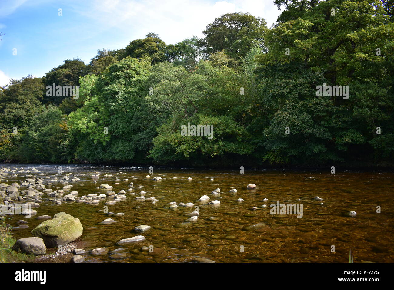 Crystal clear creek hi-res stock photography and images - Alamy