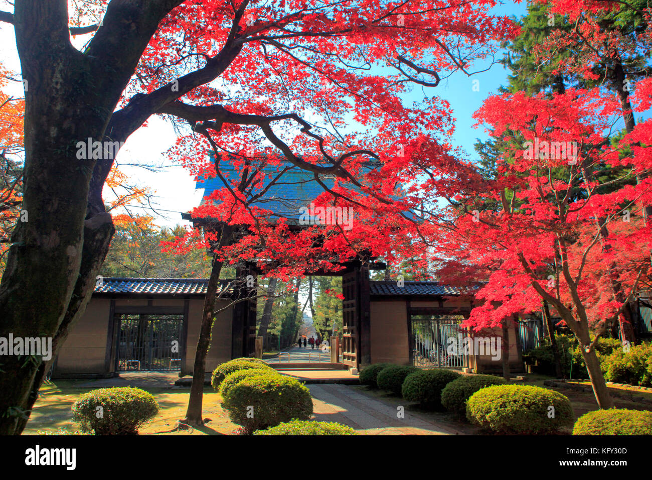 Buddism temple in tokyo hi-res stock photography and images - Alamy
