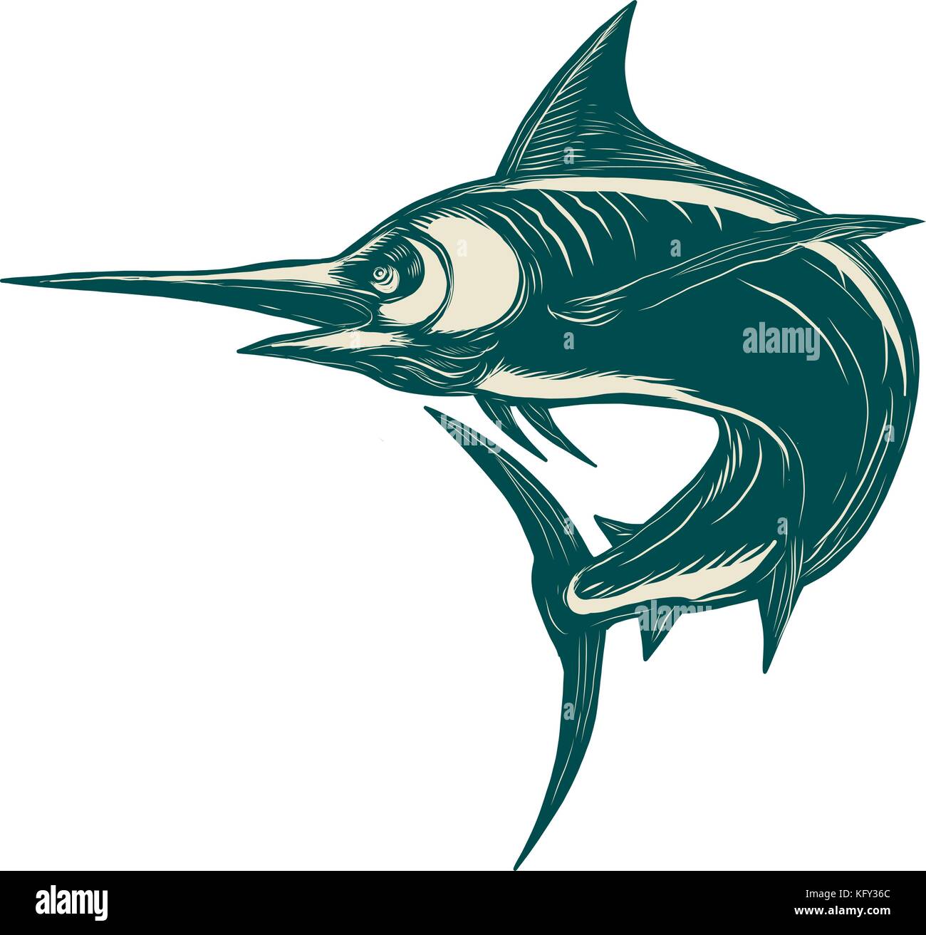 Scratchboard style illustration of a blue marlin, marlin, sailfish ...