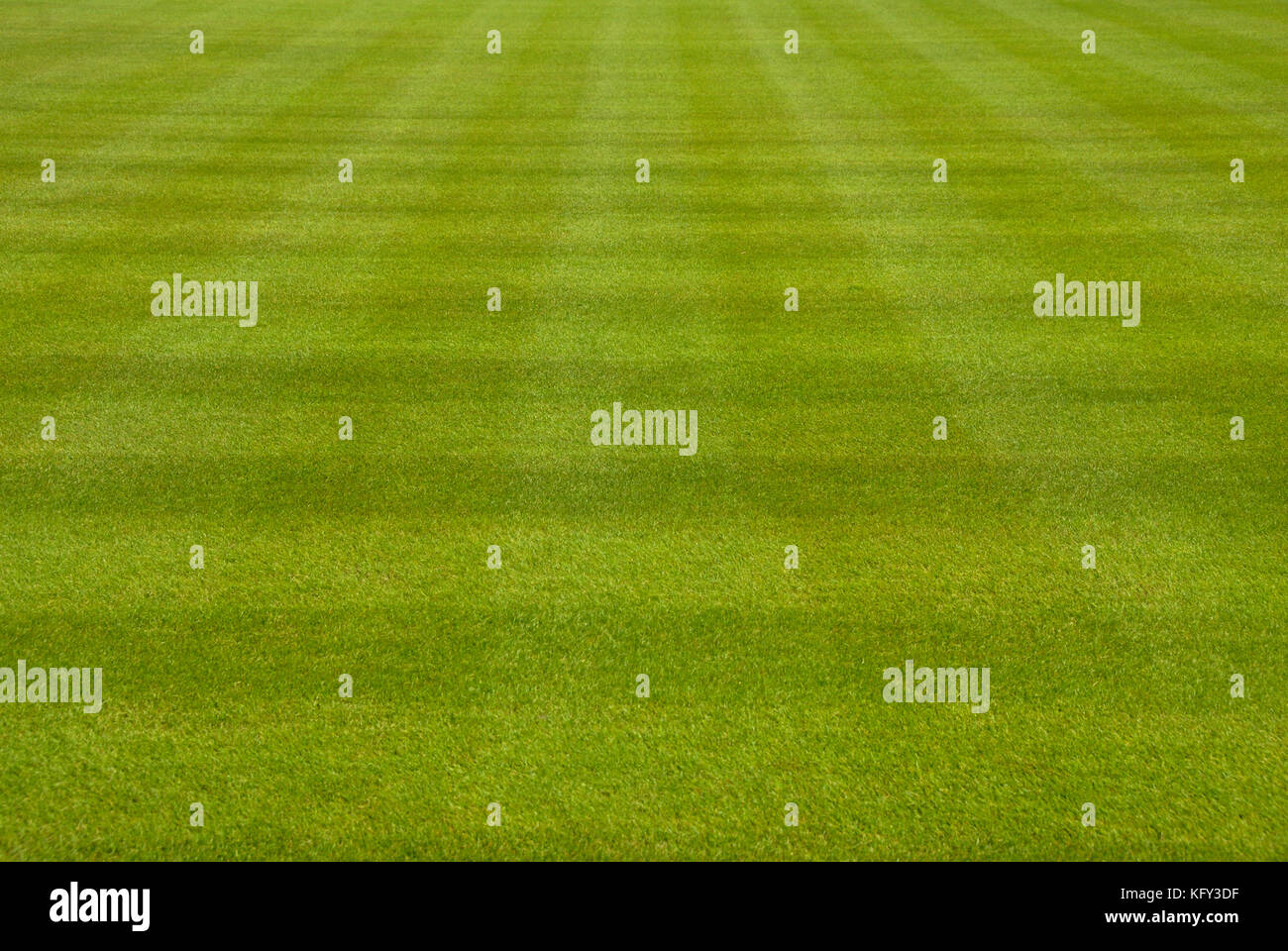 Perfect lawn hi-res stock photography and images - Alamy