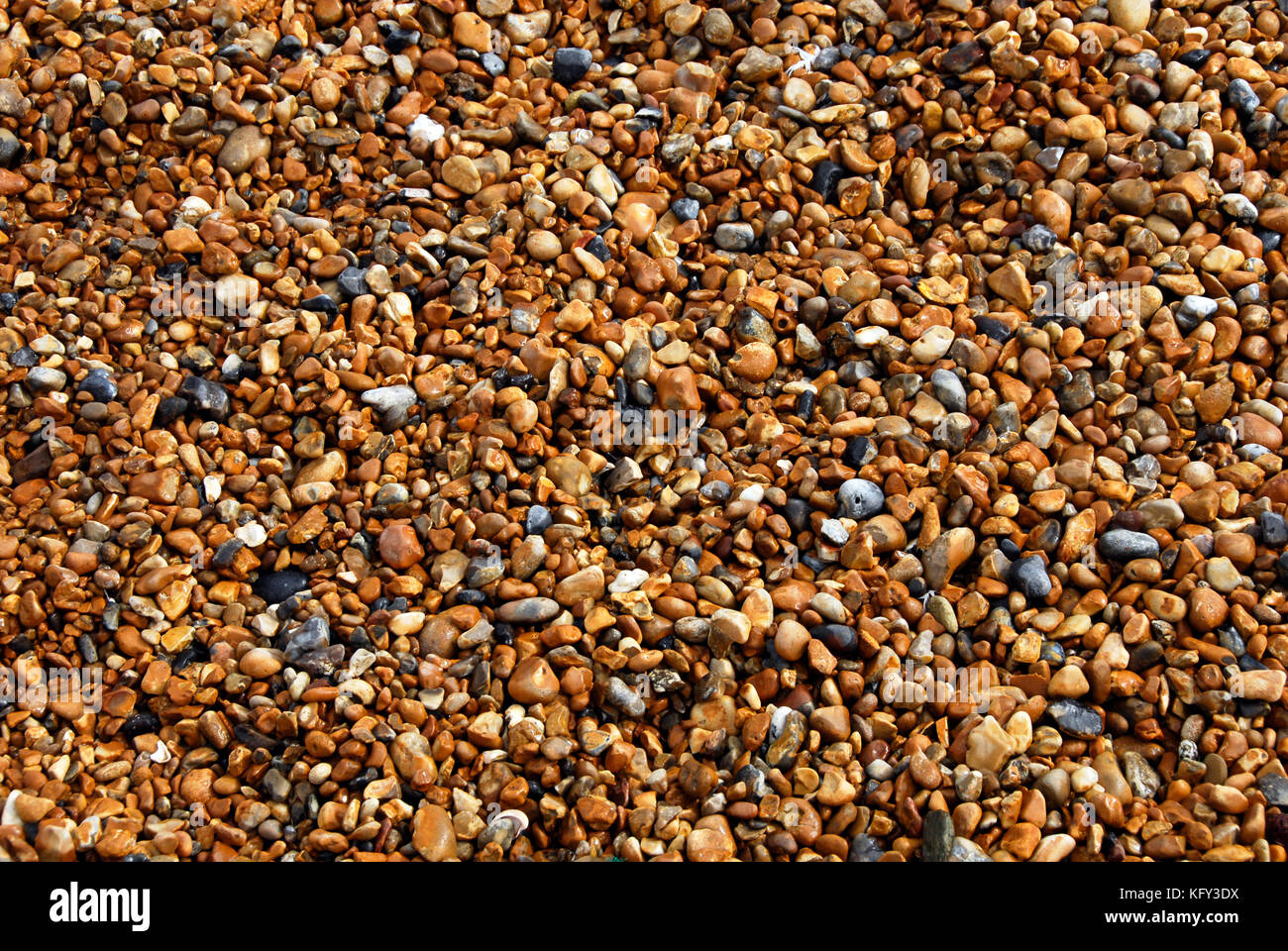 Brown stones on shingle beach Stock Photo - Alamy
