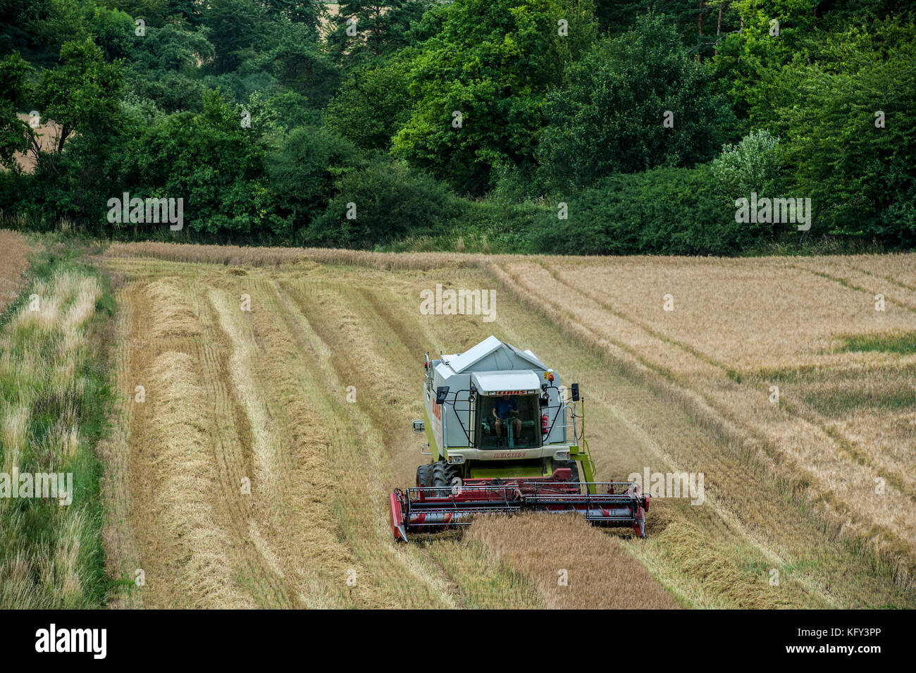 GERMANY, BAVARIA,. A combine harvester working on a small field near ...