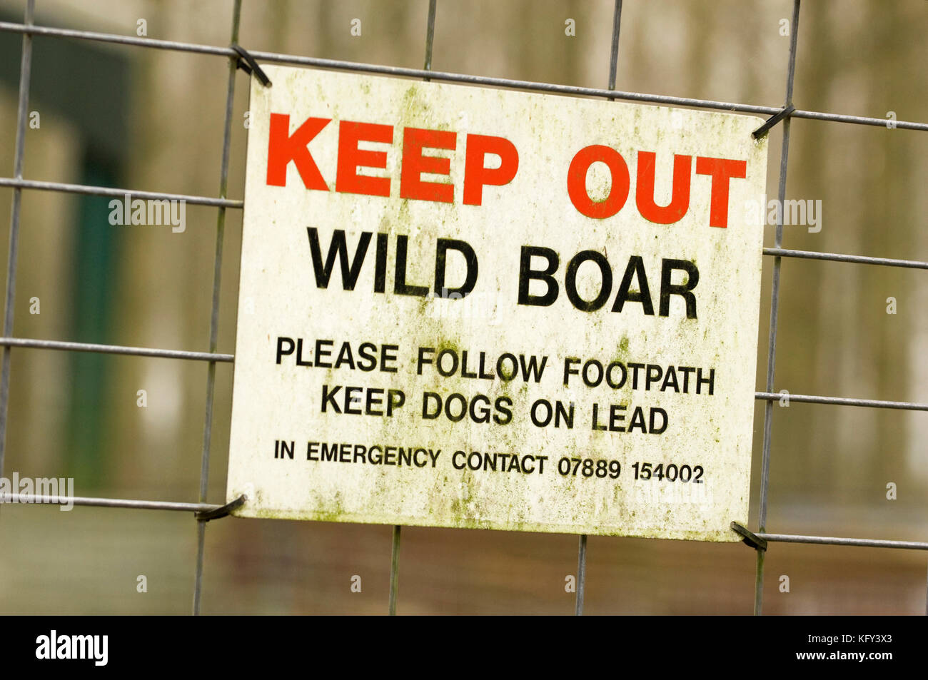 Wild Boar warning sign at Simon Gaskell's farm (The Real Boar Company ...