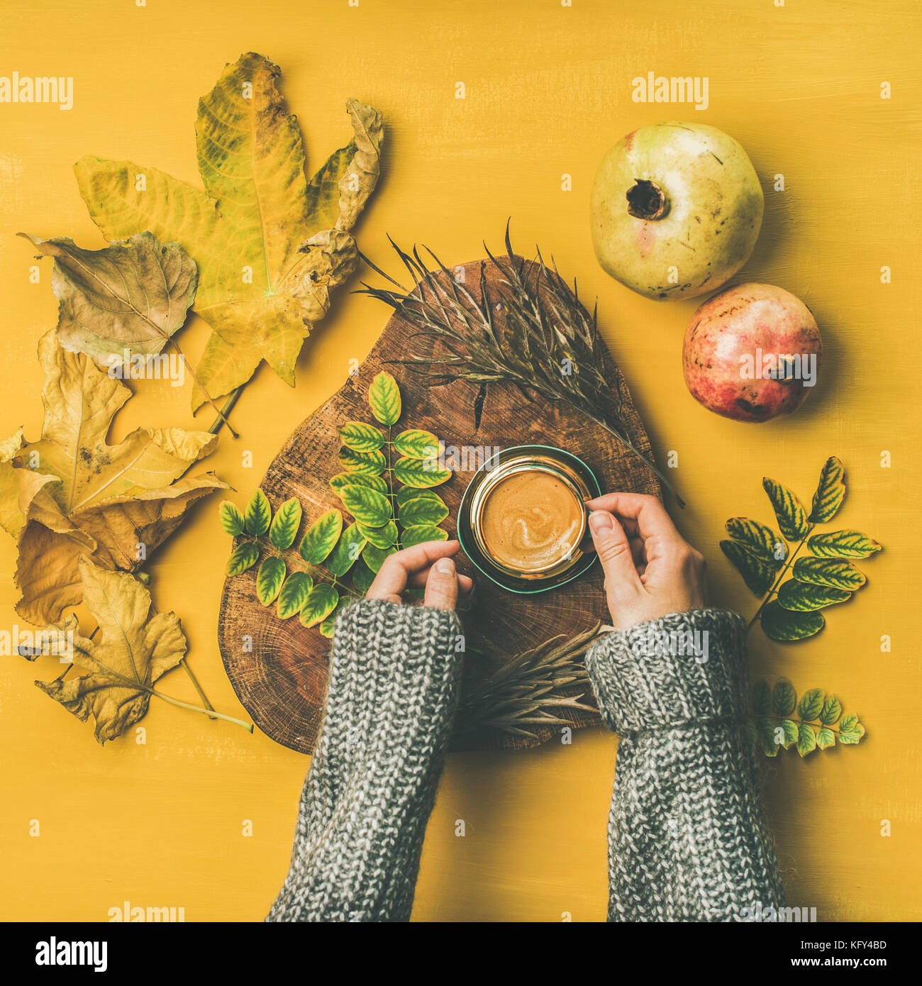 Woman' s hands holding cup of espresso, square crop Stock Photo - Alamy
