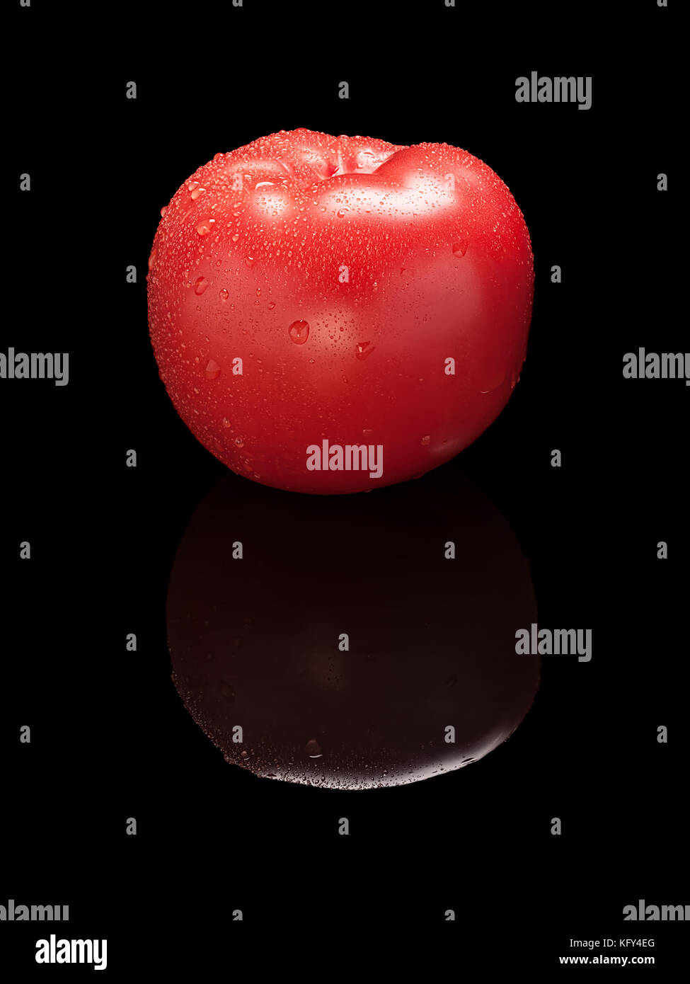 One whole big red tomato isolated on black glossy background with real ...