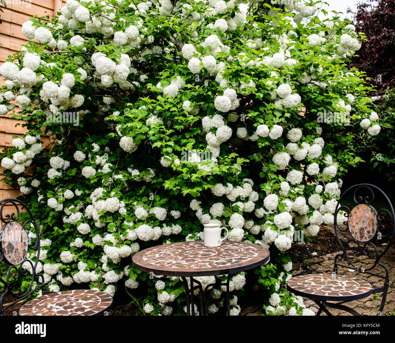 The garden bursts into life in spring Stock Photo - Alamy