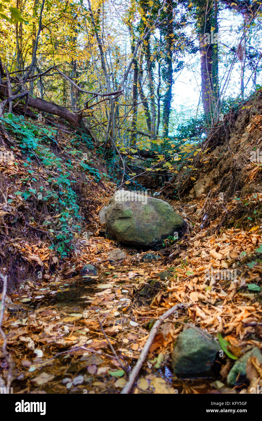 Small scenic hi-res stock photography and images - Alamy