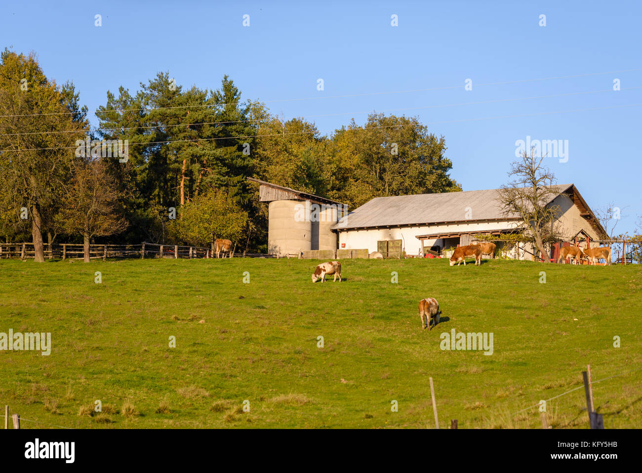 Front of the cow barn hi-res stock photography and images - Alamy