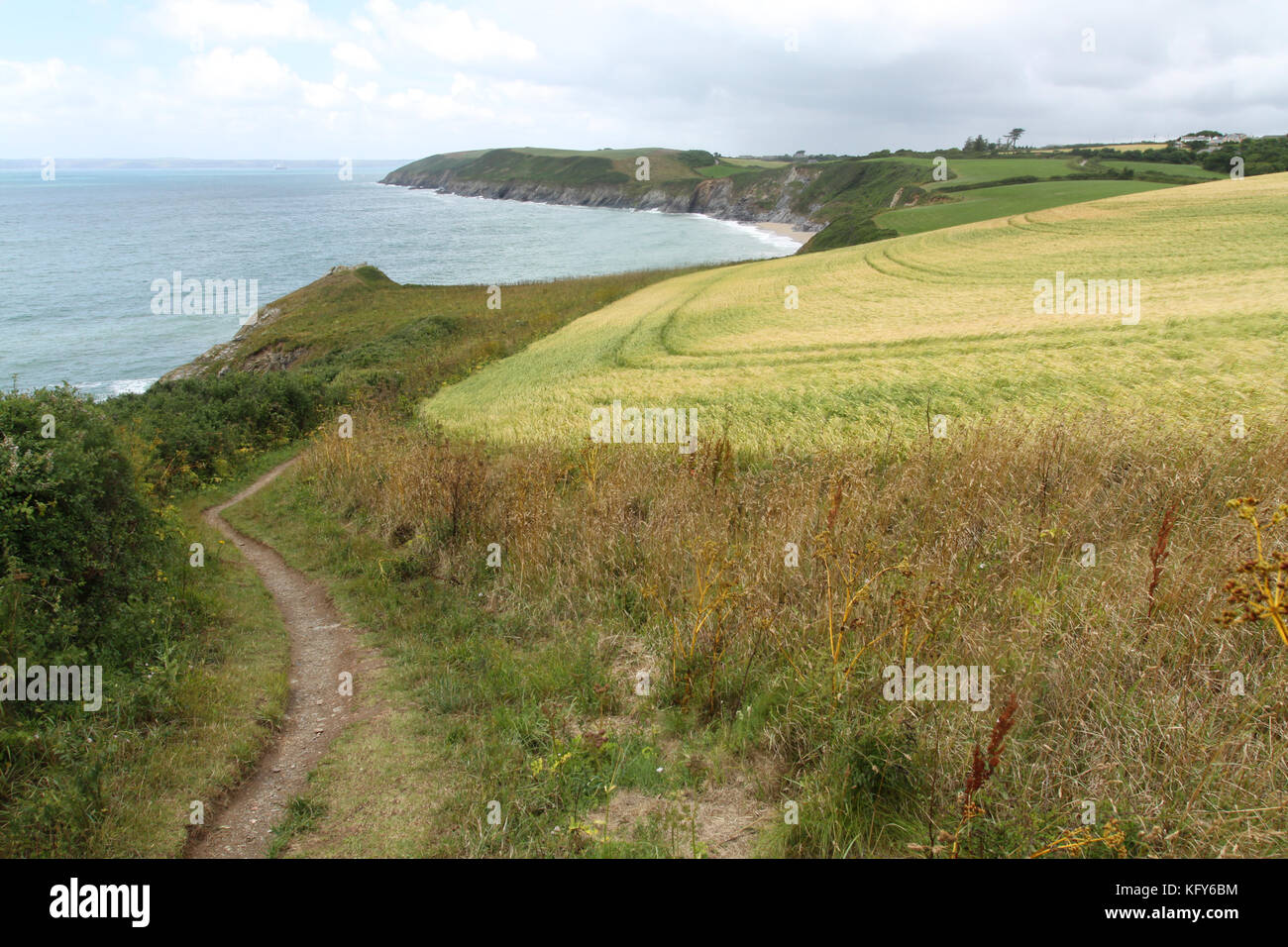 South-east coast path, Roseland Peninsula, Cornwall, England Stock ...