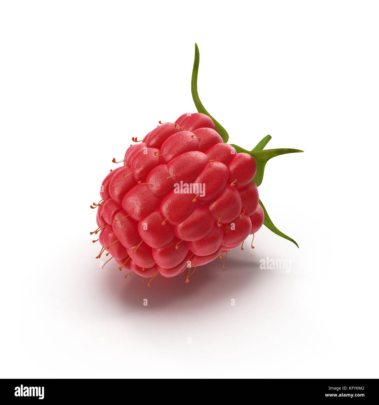 One raspberrie isolated on white 3D Illustration Stock Photo - Alamy