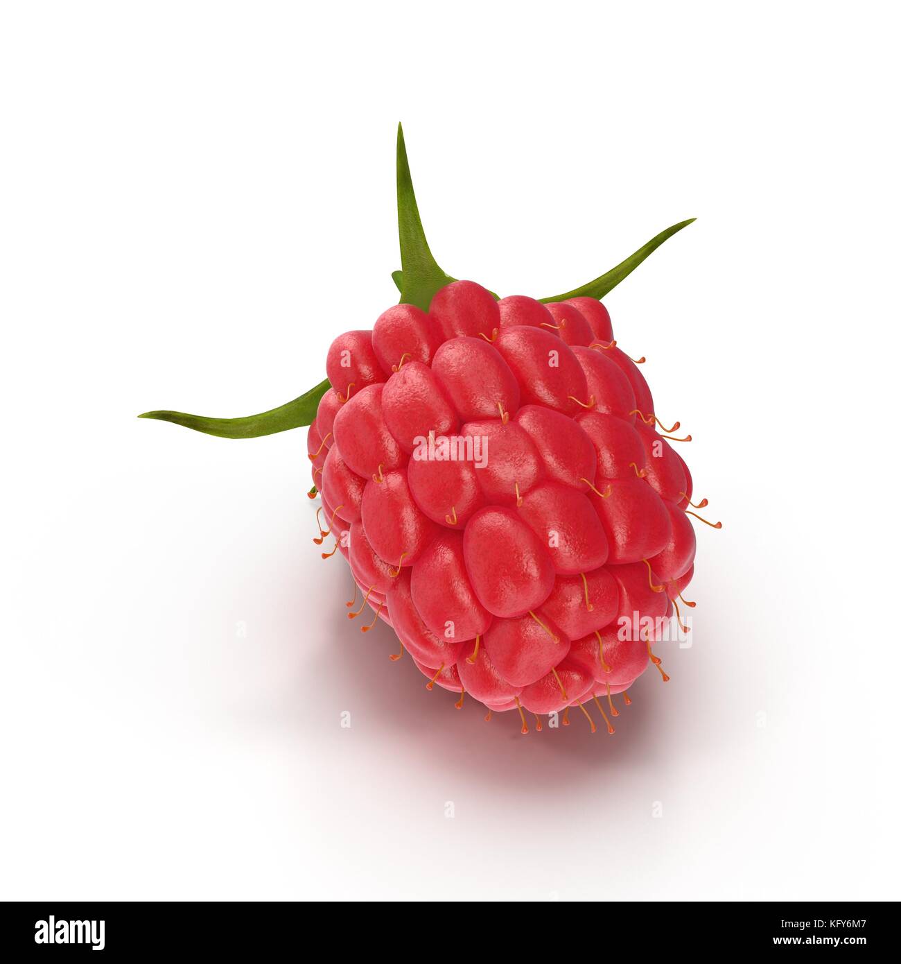 One raspberrie isolated on white 3D Illustration Stock Photo - Alamy