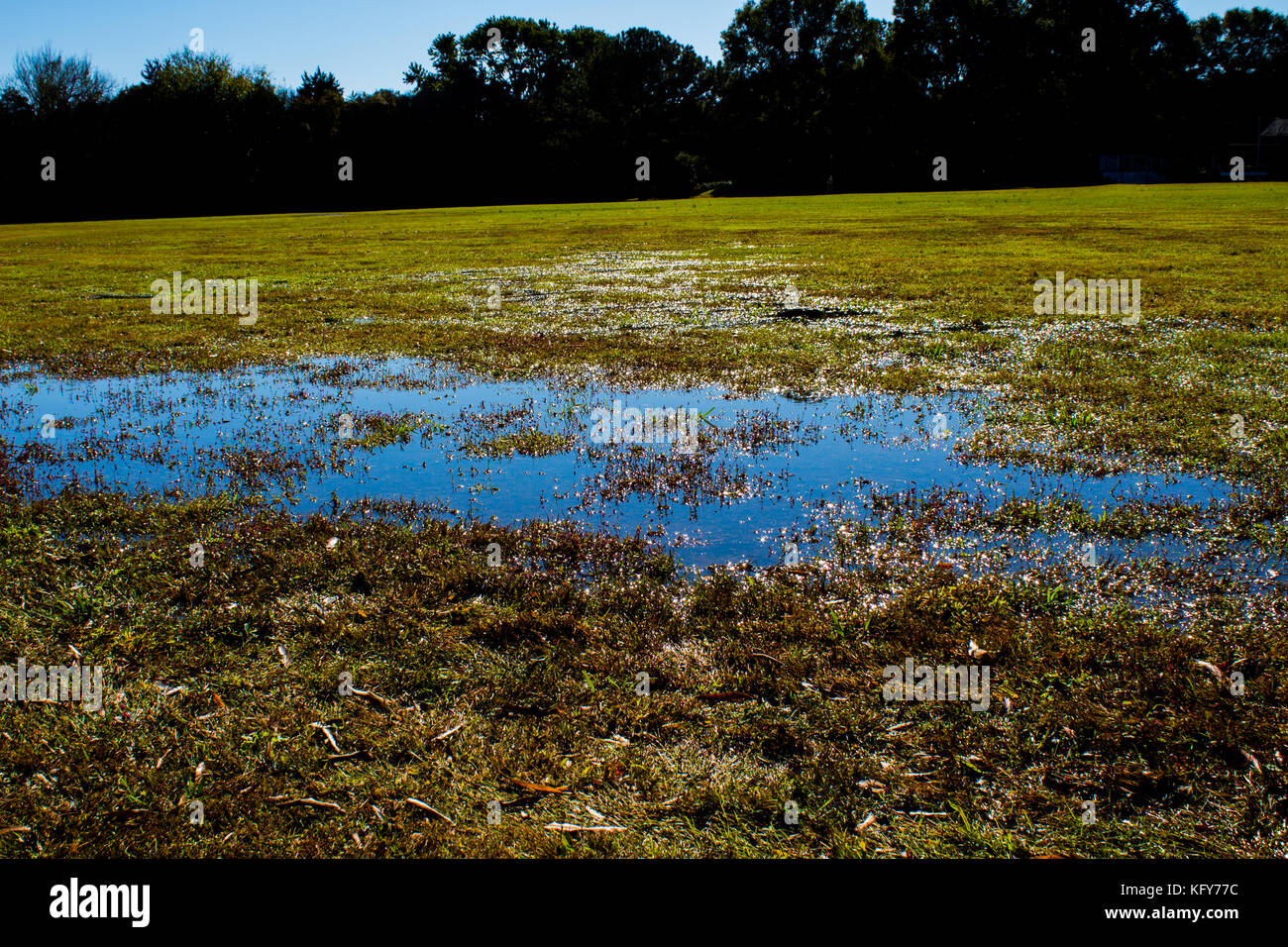 Puddle in the center of an open field Stock Photo - Alamy