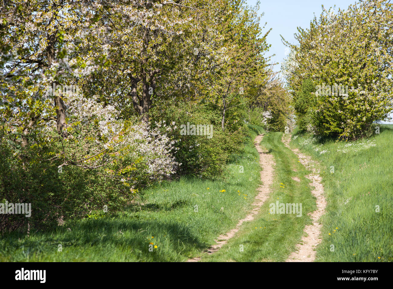 Ausgefahren hi-res stock photography and images - Alamy
