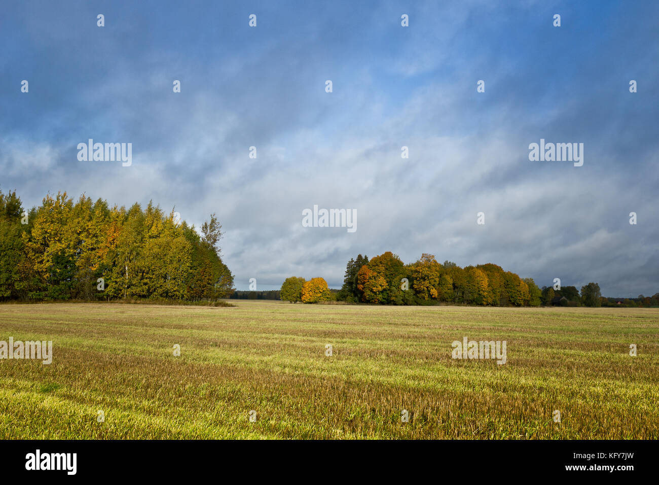 Autumn in Latvia Stock Photo - Alamy