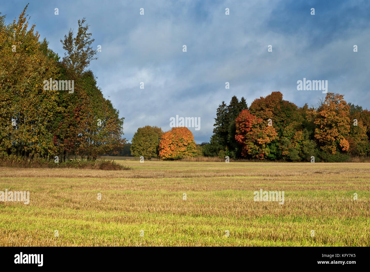 Autumn fall baltic hi-res stock photography and images - Alamy