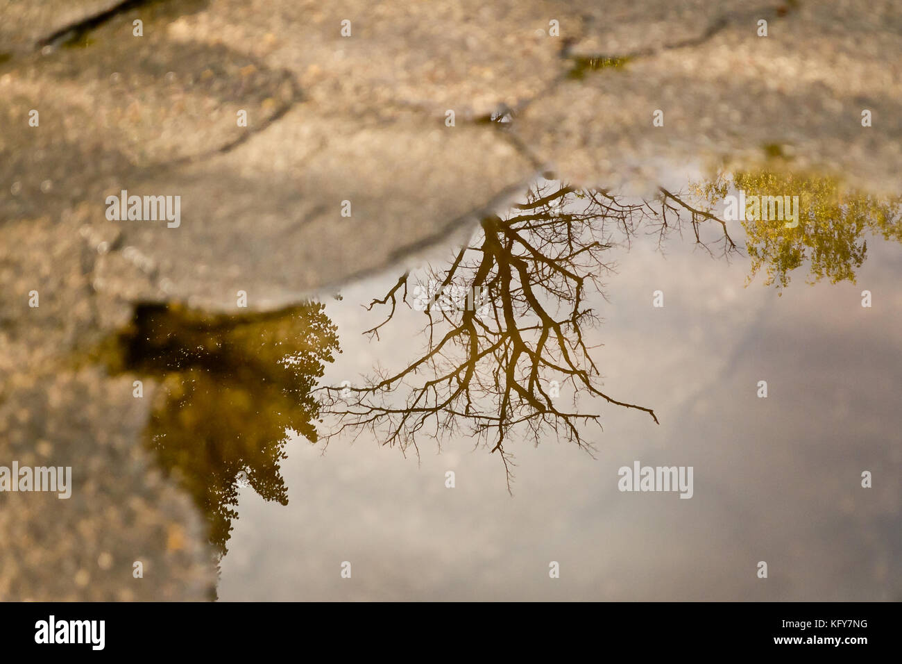 Reflection in the water Stock Photo - Alamy