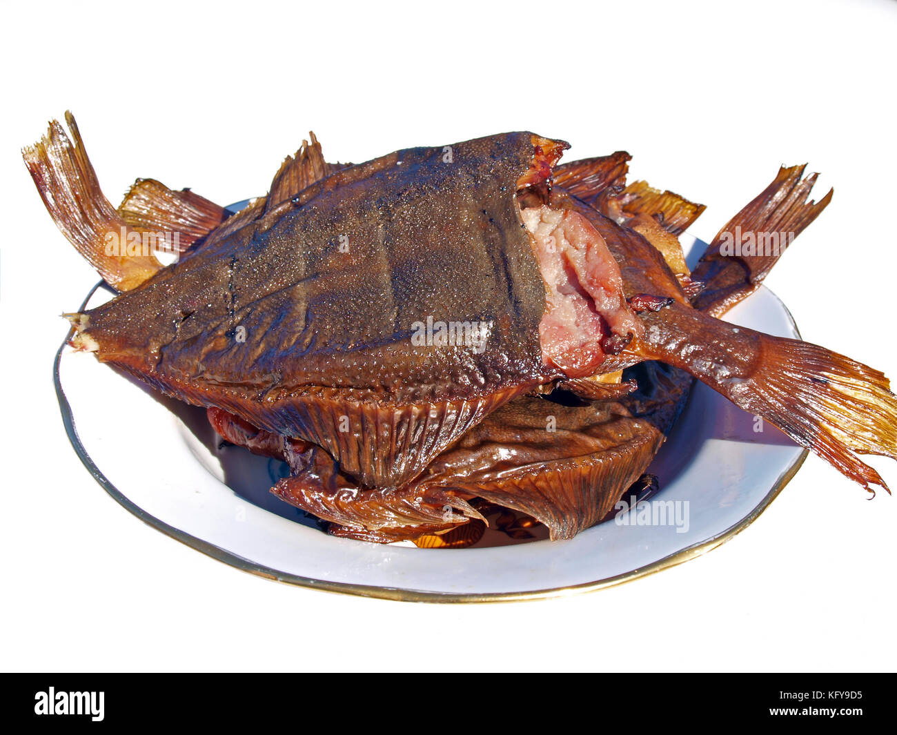 Flatfishes hi-res stock photography and images - Alamy
