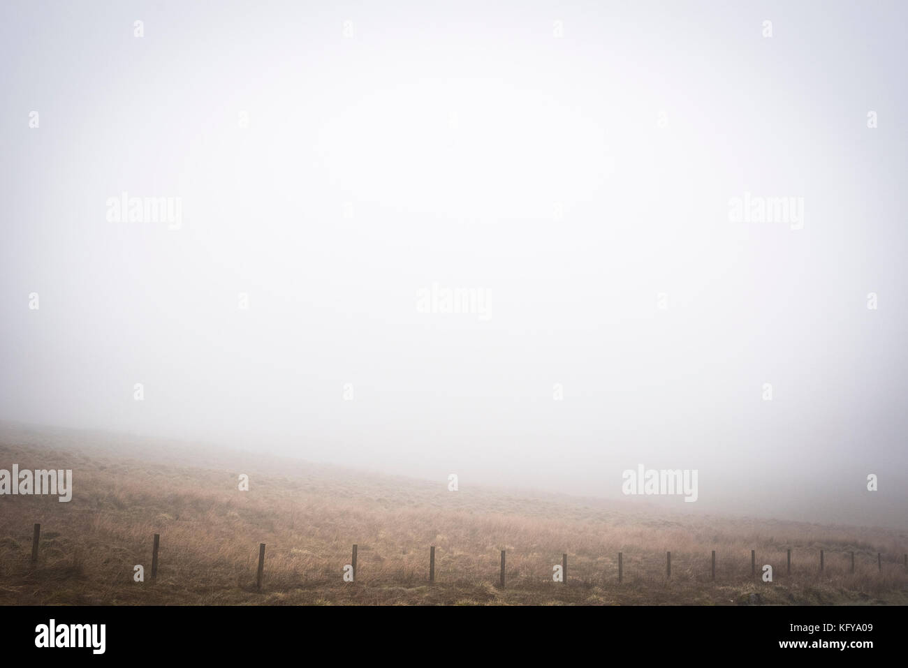 Thick fog in the highlands of Scotland Stock Photo - Alamy