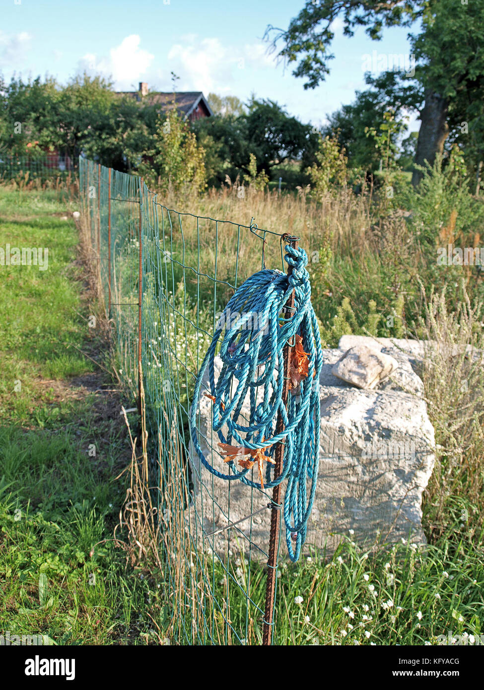 Bundle of blue nylon rope hang on country yard fence Stock Photo - Alamy