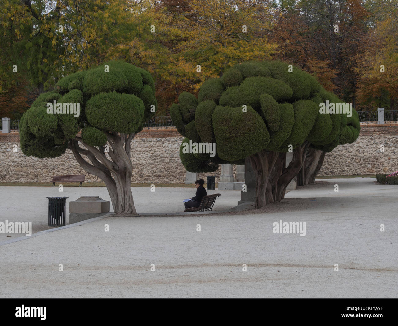 Cecilio rodríguez madrid hi-res stock photography and images - Alamy