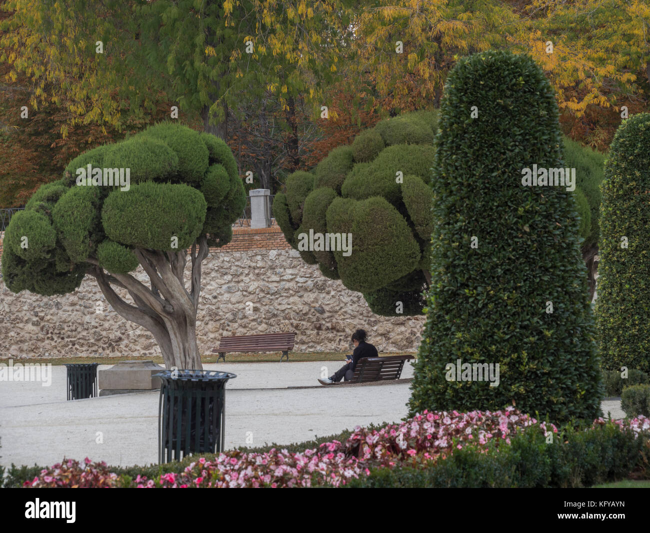 Young woman reading in Cecilio Rodríguez Garden in the Retiro park ...