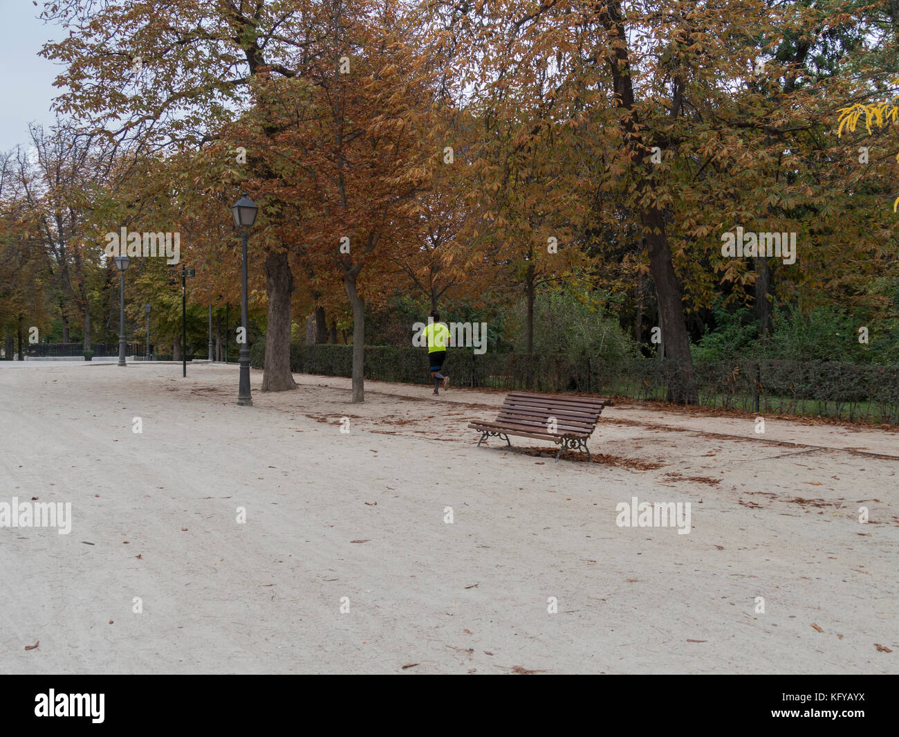 Running in the Retiro park. Madrid, Spain Stock Photo - Alamy