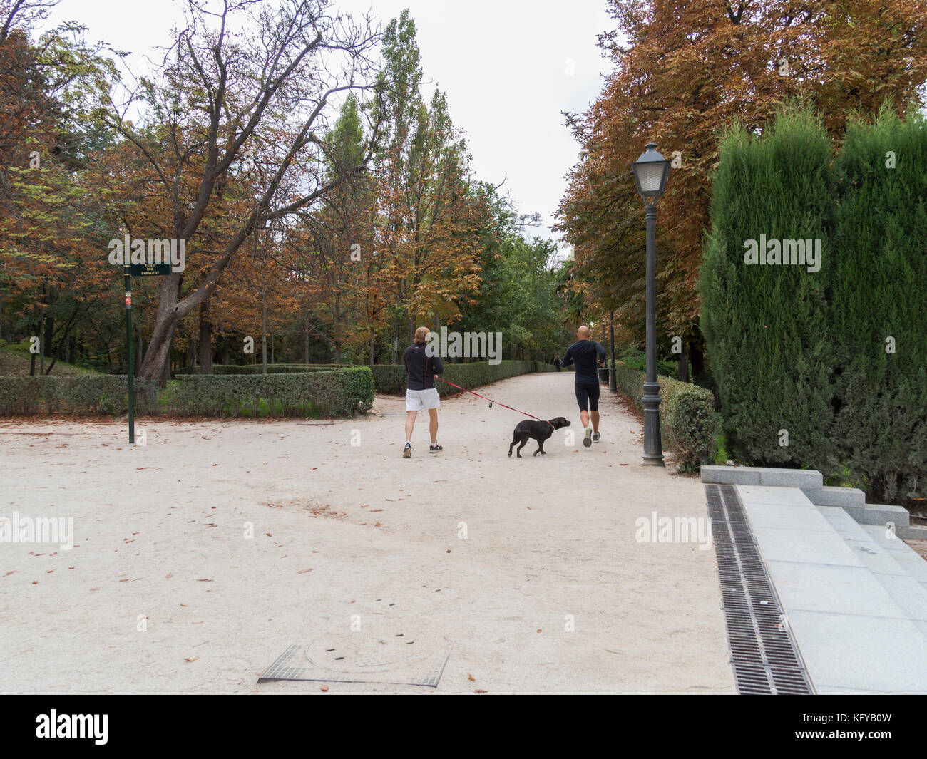 Running in the Retiro park. Madrid, Spain Stock Photo - Alamy