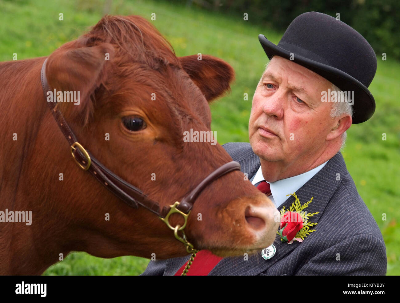 Man judging cattle hi-res stock photography and images - Alamy