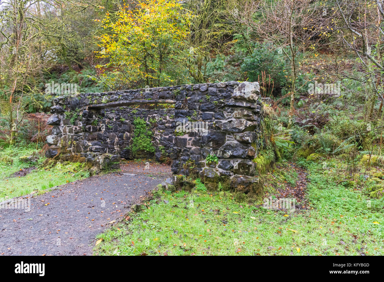Castle Semple, Lochwinnoch, Scotland-October 28, 2017: Nature Trail at ...
