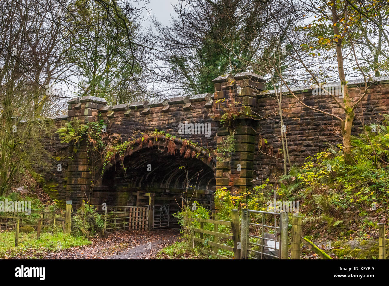 Castle Semple, Lochwinnoch, Scotland-October 28, 2017: Nature Trail at ...