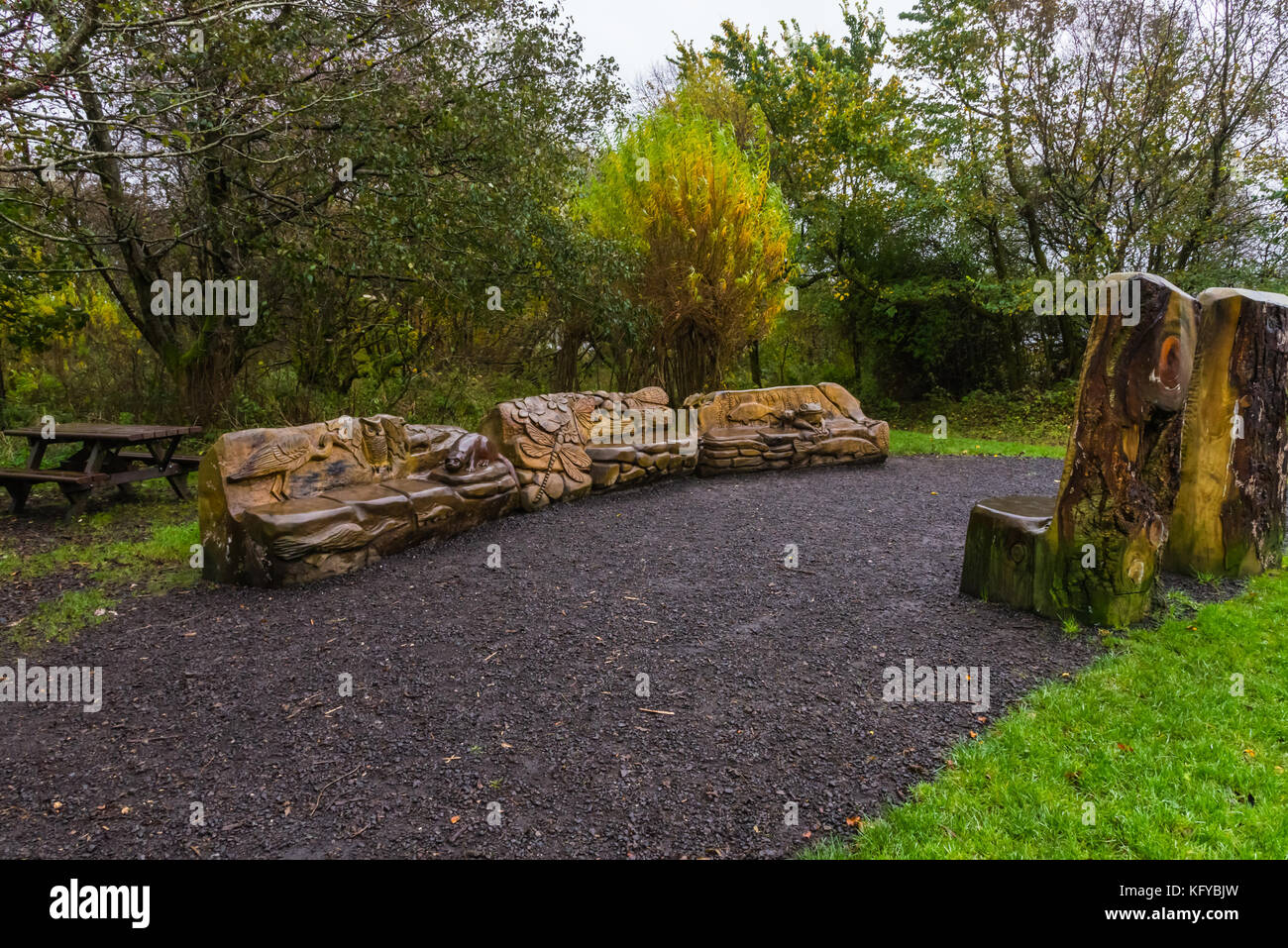 Castle Semple, Lochwinnoch, Scotland-October 28, 2017: Nature Trail at ...