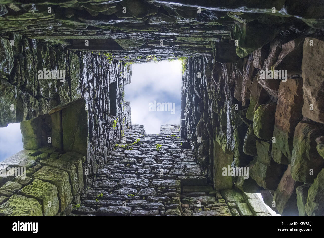 Castle Semple, Lochwinnoch, Scotland-October 28, 2017: Nature Trail at ...