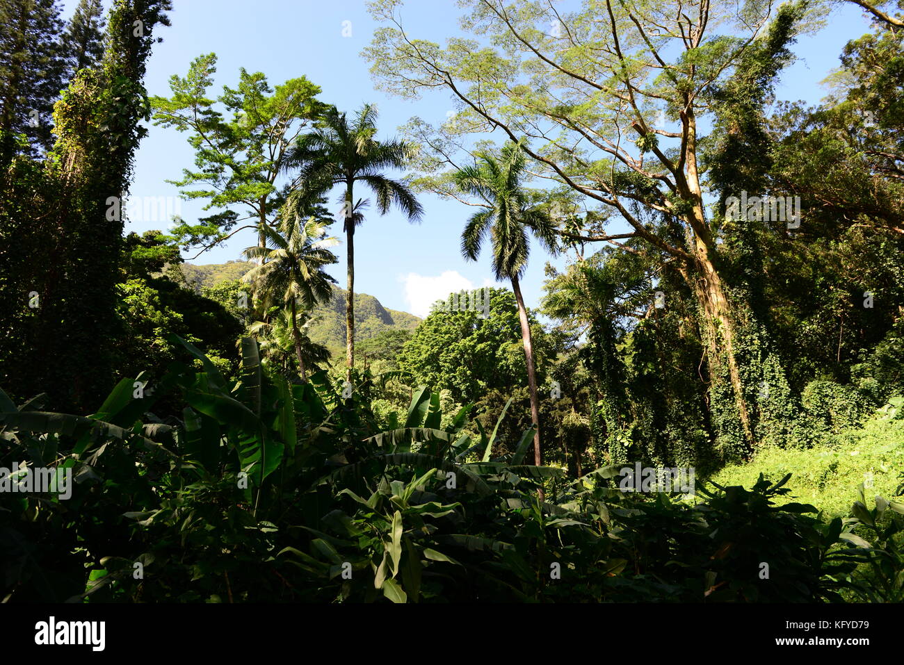 Tantalus round top scenic hi-res stock photography and images - Alamy