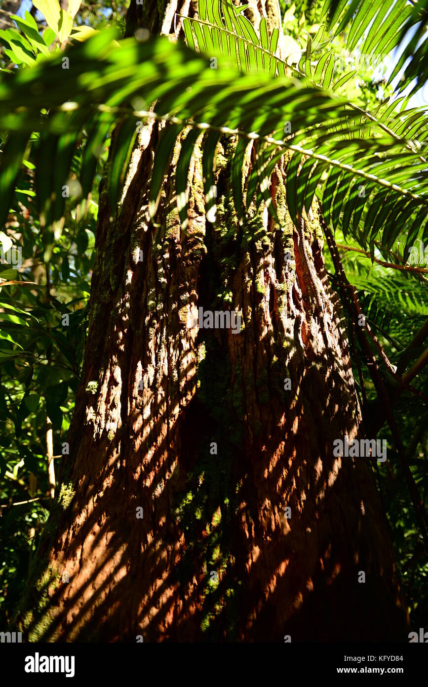 Tantalus round top scenic hi-res stock photography and images - Alamy