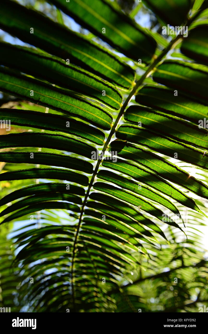 Tantalus round top scenic hi-res stock photography and images - Alamy