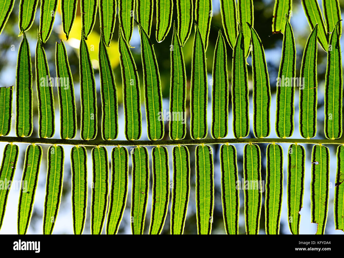 Tantalus round top scenic hi-res stock photography and images - Alamy