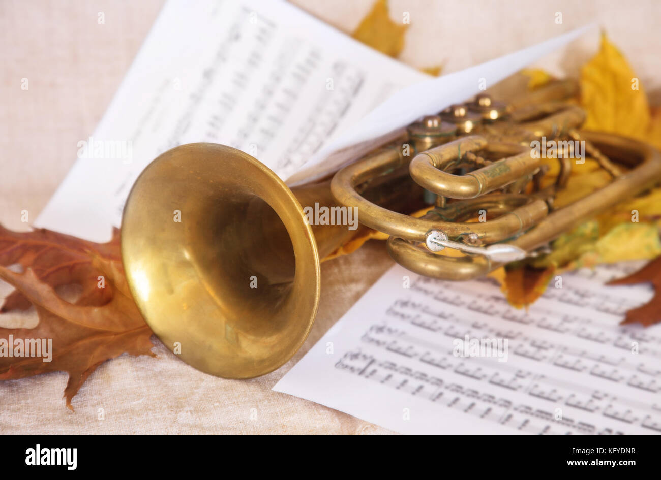 Old saxophone notes musical instrument hi-res stock photography and ...