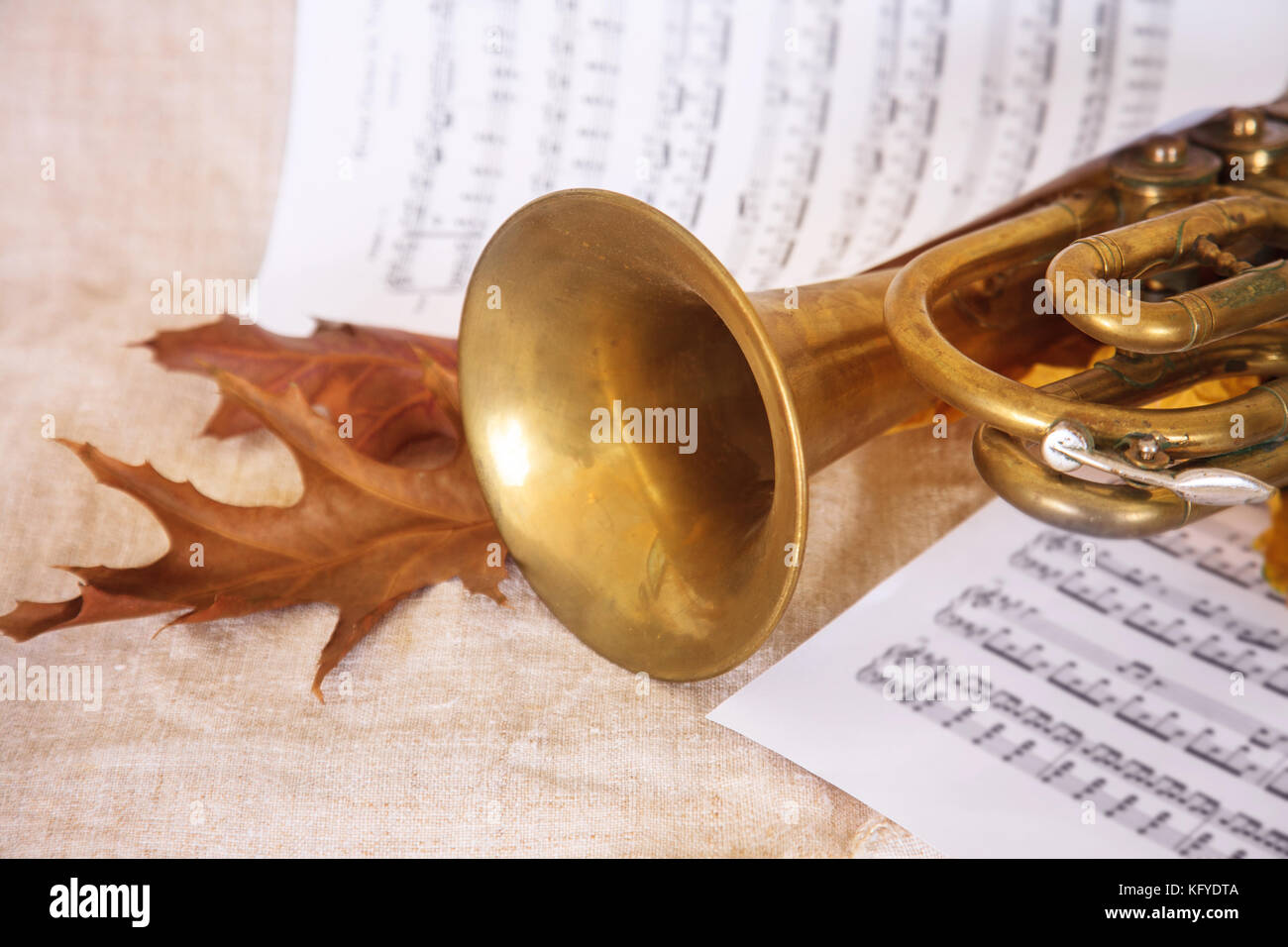 Musical notes, autumn leaves and old trumpet Stock Photo - Alamy